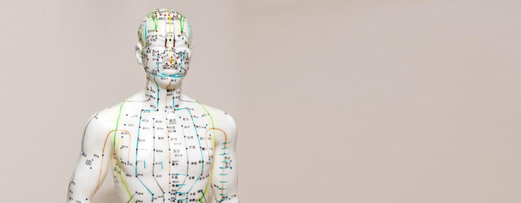 How Acupuncture Works: Understanding the Science Behind It.